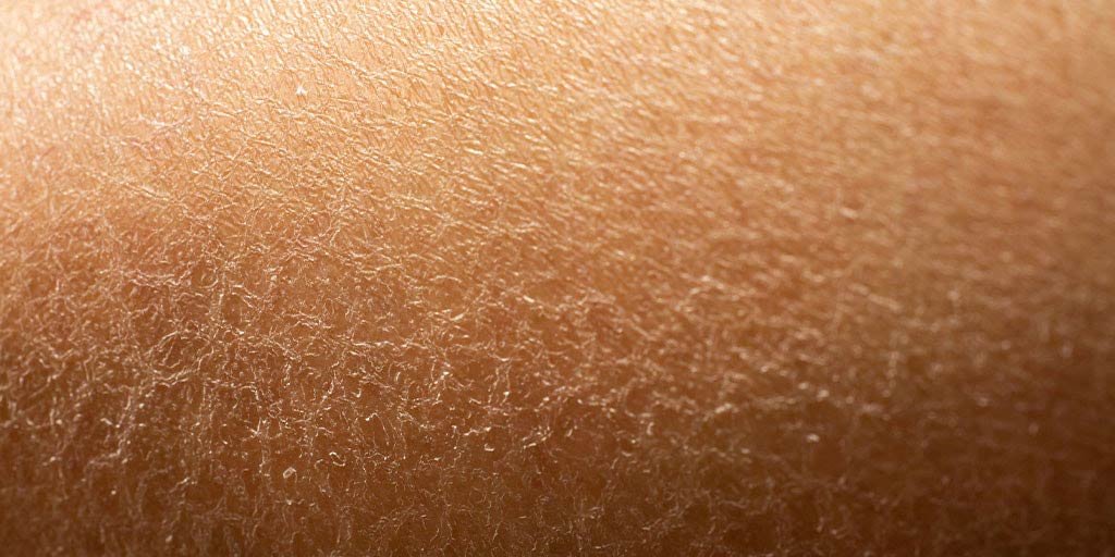 Lipide für eine starke Hautschutzbarriere| La Roche Posay